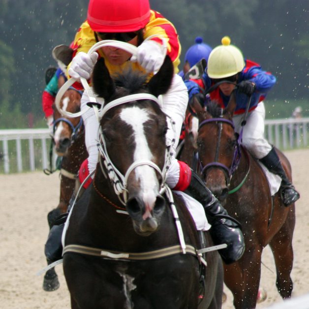 Horse Racing Accounting Services | Bucknam & Conley CPAs